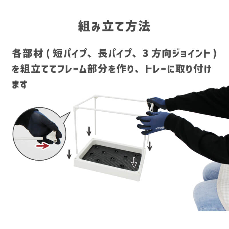カーメン君コラボ・関連商品 | DAIMファクトリー